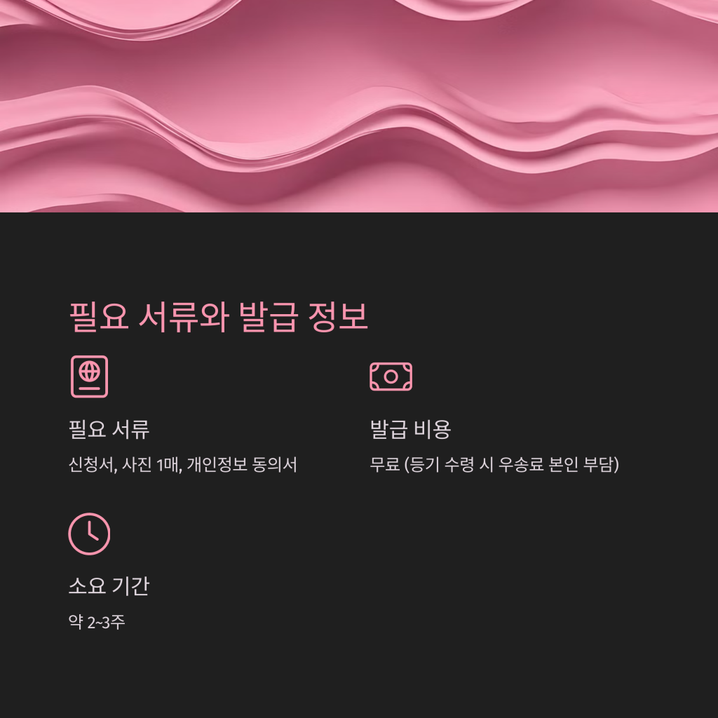 2025년 청소년증 발급 및 재발급 총정리: 사진 규격까지 완벽 안내 - TipFlowz